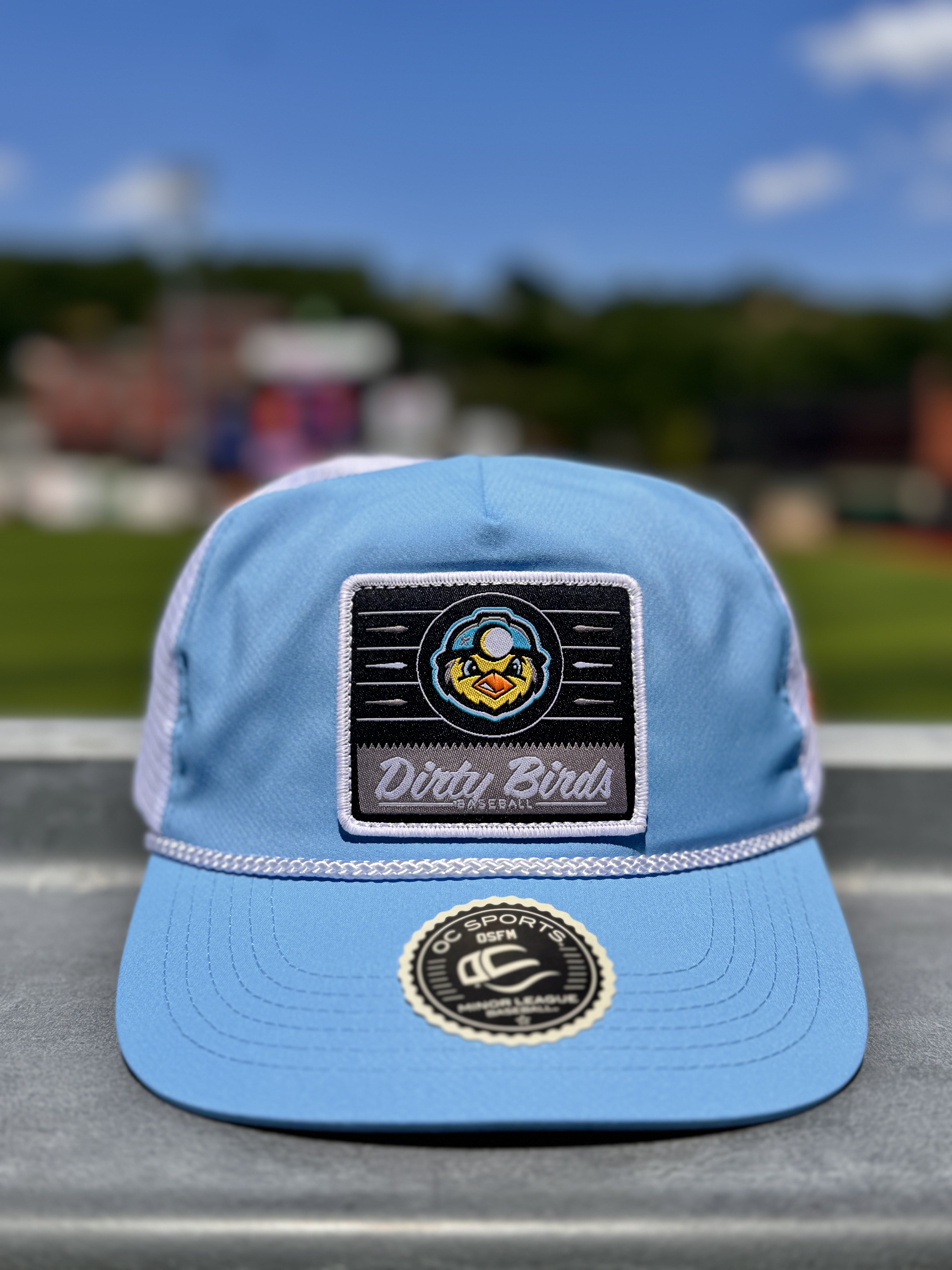 Boomer Hat – Charleston Dirty Birds