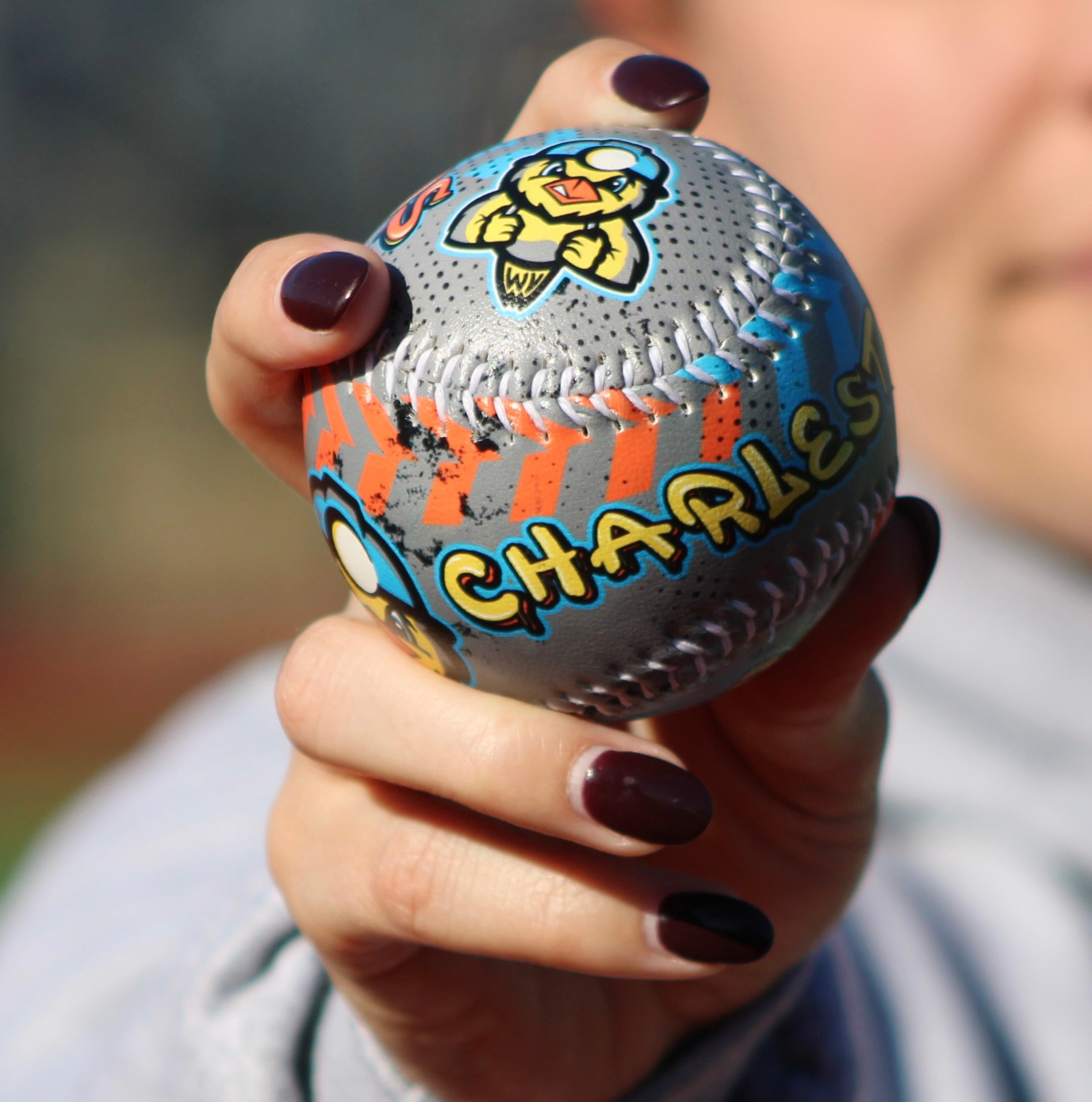 Logo Baseball – Charleston Dirty Birds